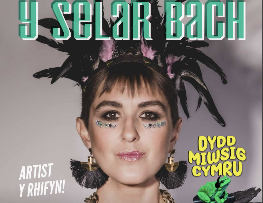 Y Selar Bach I Ysgolion Cymru Ar Ddydd Miwsig Cymru Y Selar